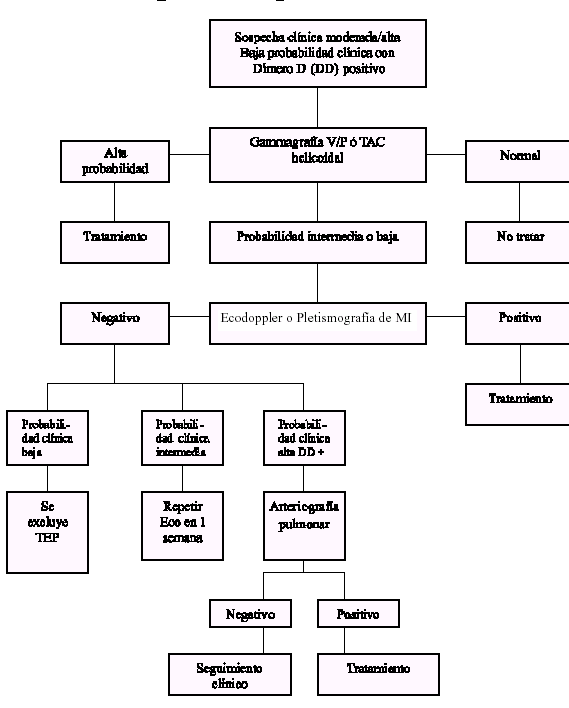 SMIBA - Revista Electrónica de SMIBA
