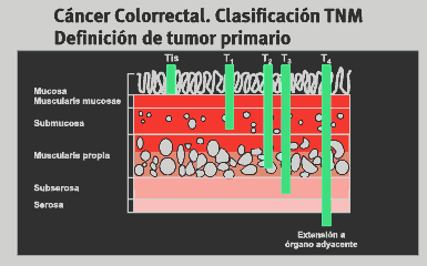 SMIBA - Revista Electrónica de SMIBA