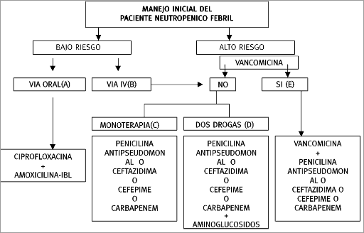 Pautas en el Manejo Clínico del Paciente Neutropénico Febril (segunda ...