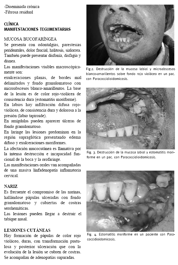 SMIBA - Revista Electrónica de SMIBA
